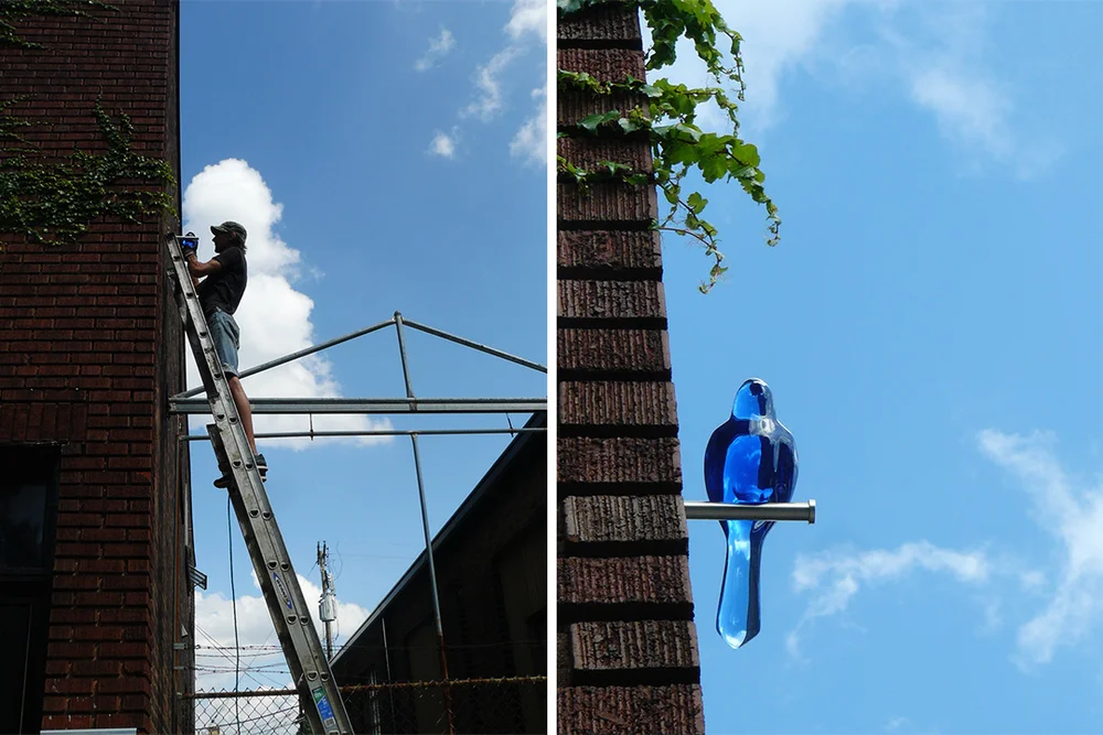 Blue Birds — MARK REIGELMAN.