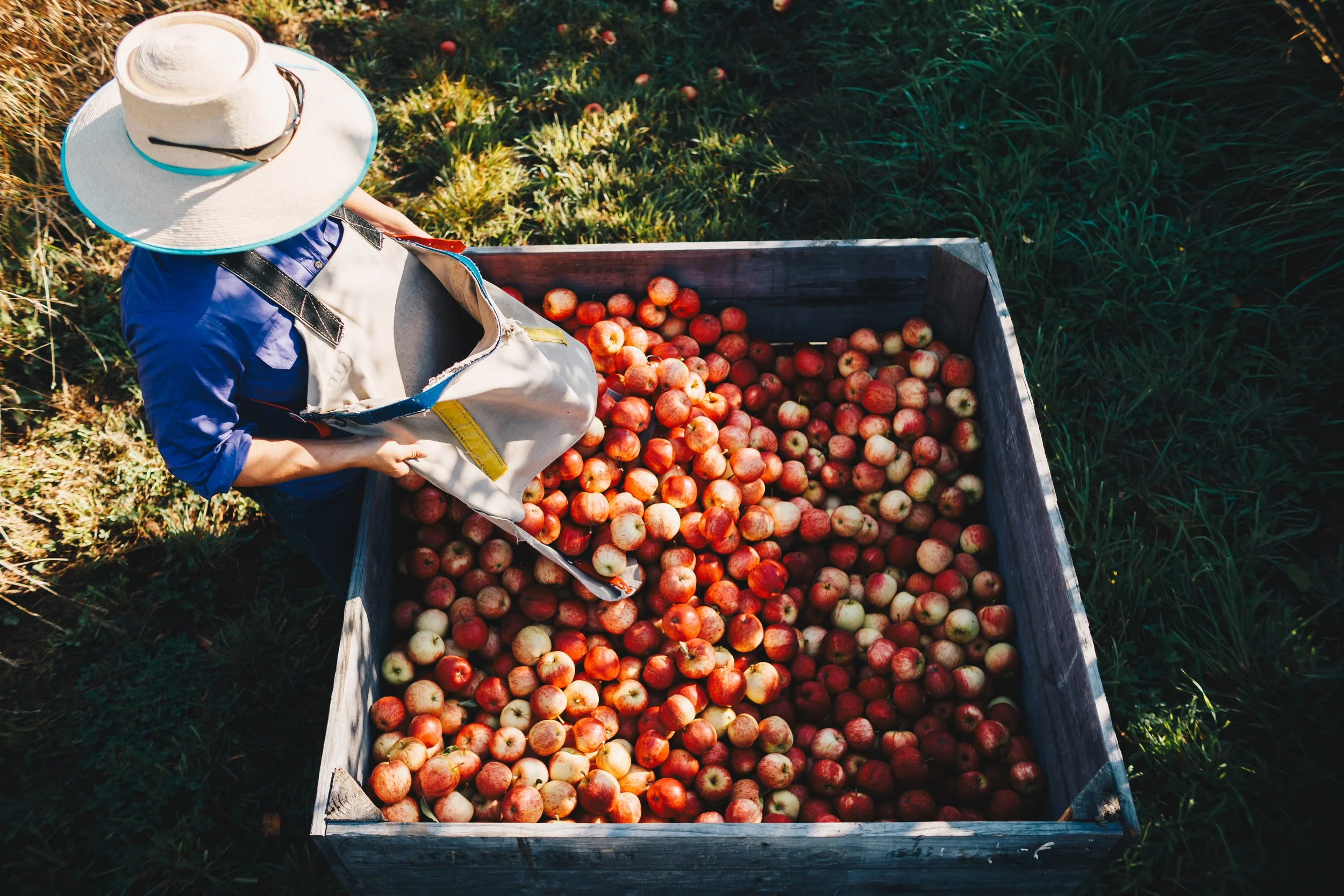 Resilient Farming Tas I Tas Farming Futures