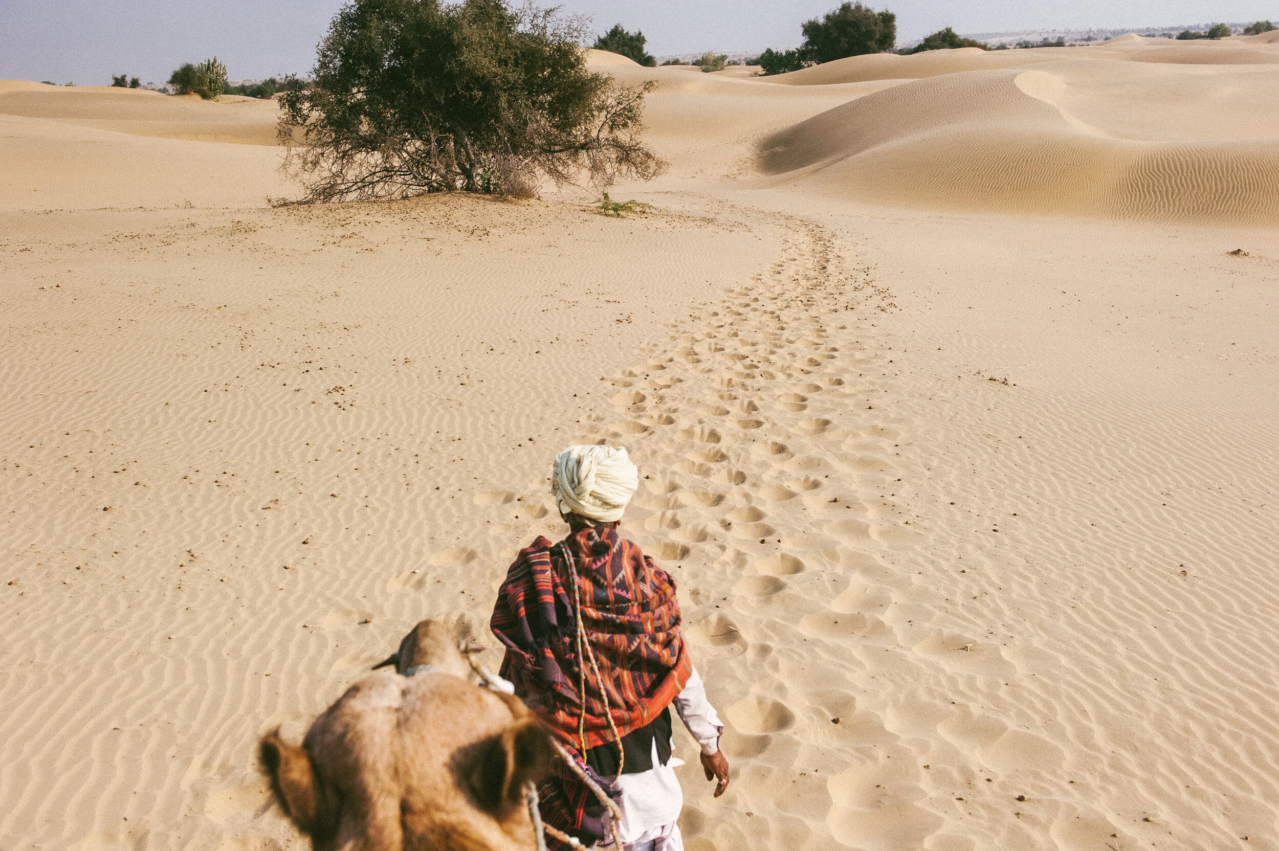 Desert Folk - French Sessa Photo Co.