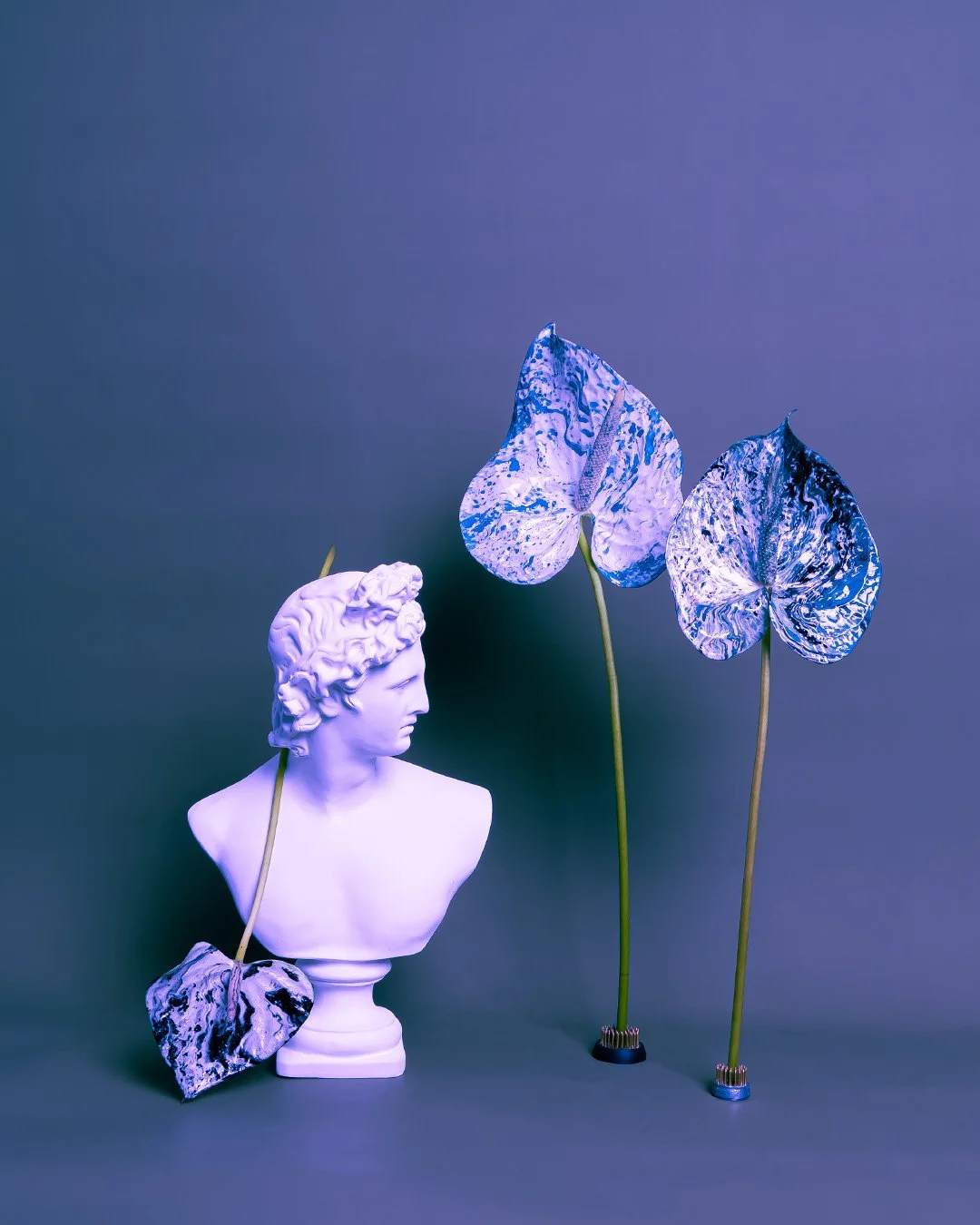 Still Life Styling & Art Direction for Product Photography — Claire Mueller