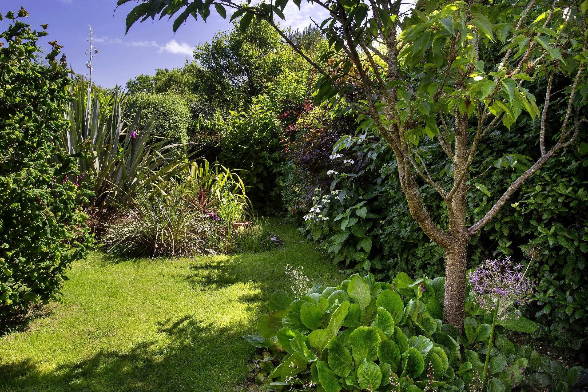 Garden of the Week — Garden News