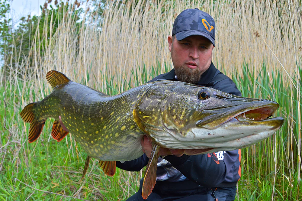 Lake with 25lb pike and huge perch will open this autumn — Angling Times