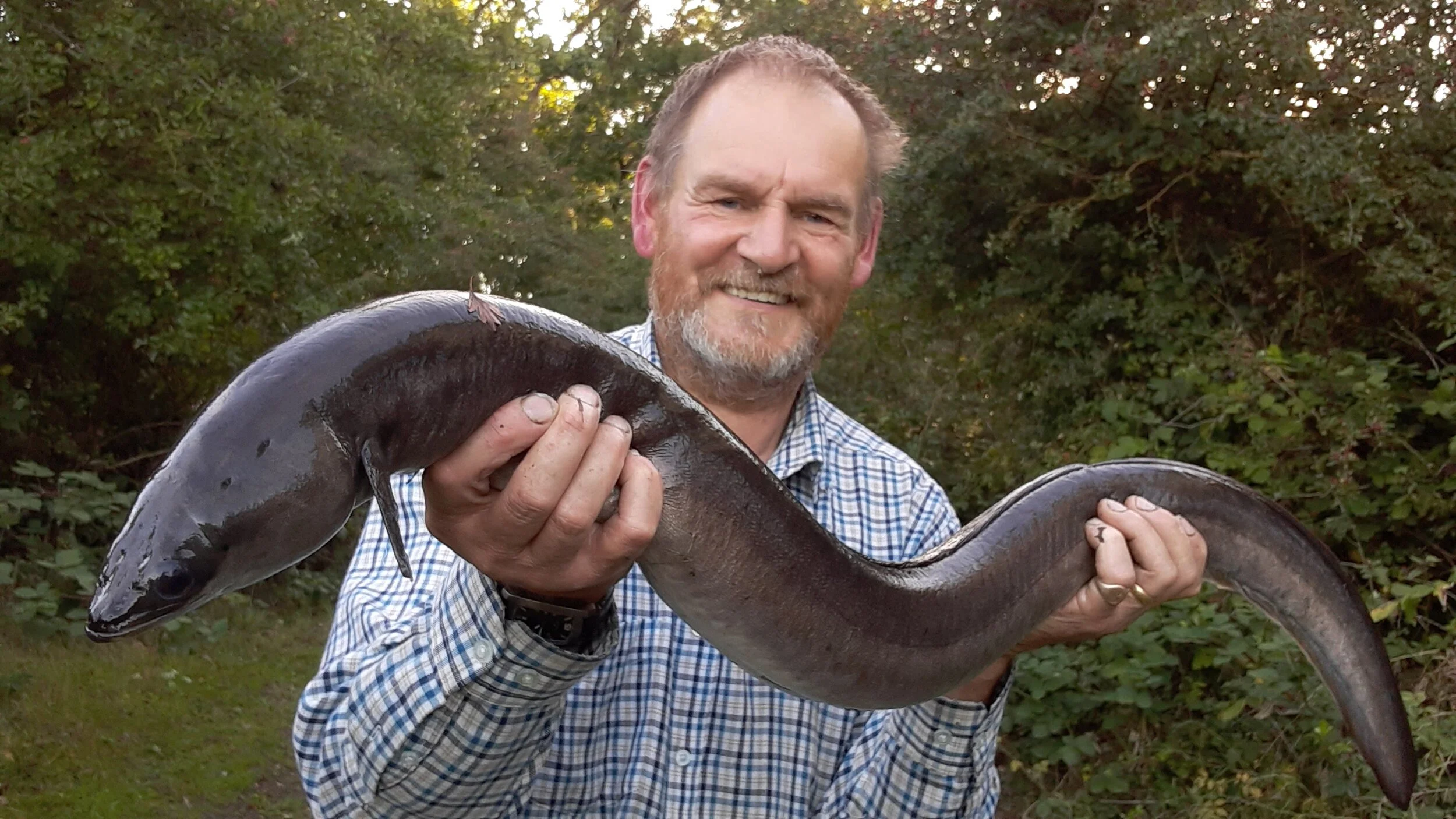 'Eel man' catches second giant of the season! — Angling Times