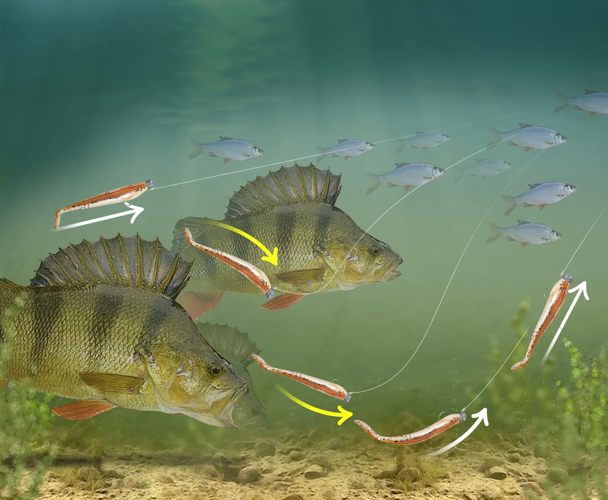 Perch Lures