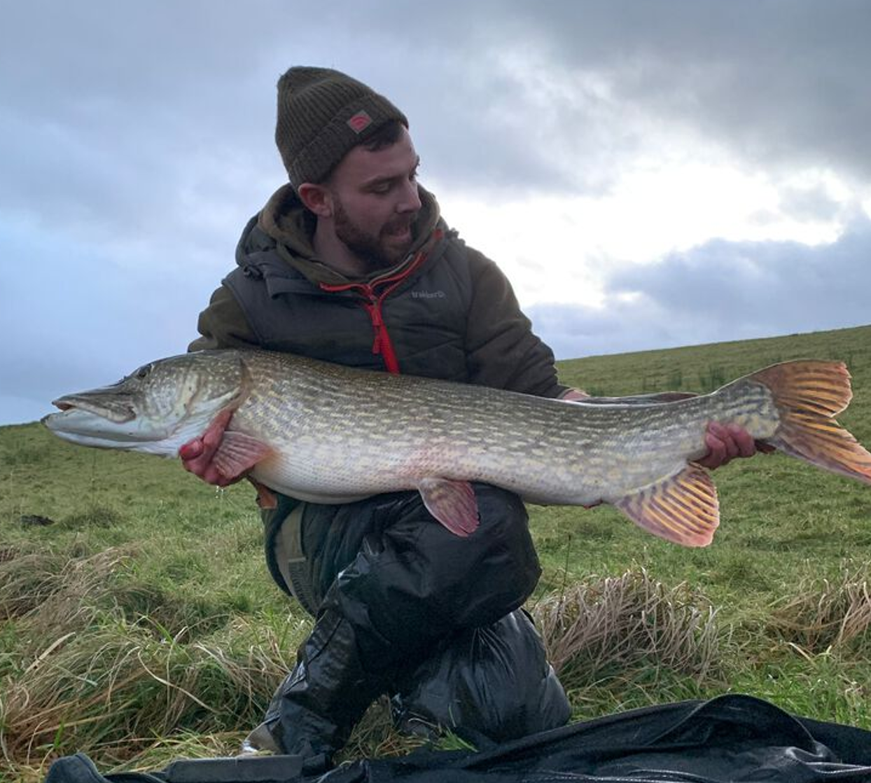 Huge Pike
