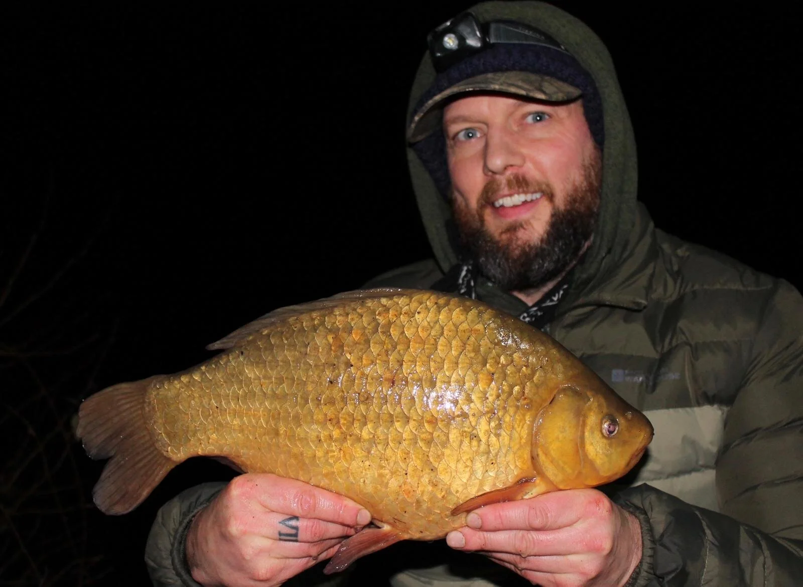Crucian Carp