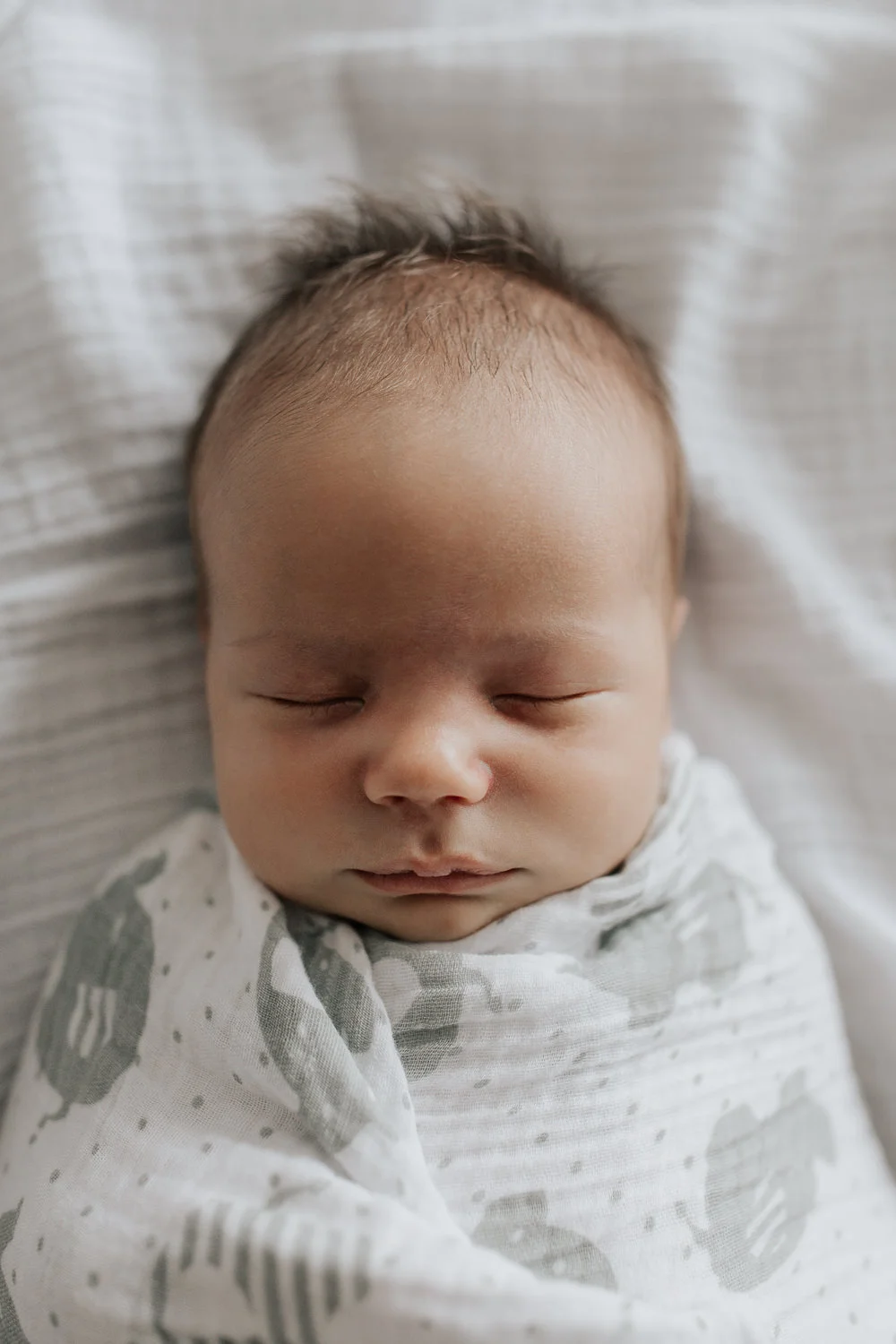 Journal | Amanda Simpson Photography - Toronto, ON — Toronto Newborn ...