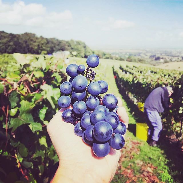 Secret Valley | Glamping Holidays In Somerset | Go Glamping In The ...