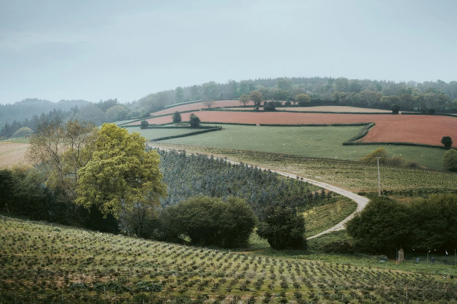 Secret Valley | Glamping Holidays In Somerset | Go Glamping In The ...