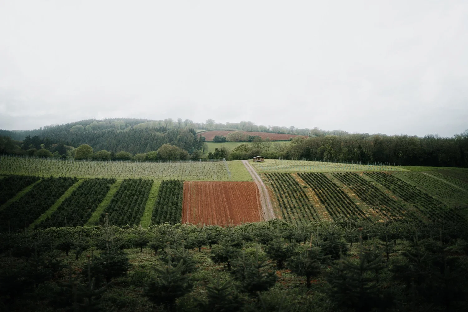 Secret Valley | Glamping Holidays In Somerset | Go Glamping In The ...