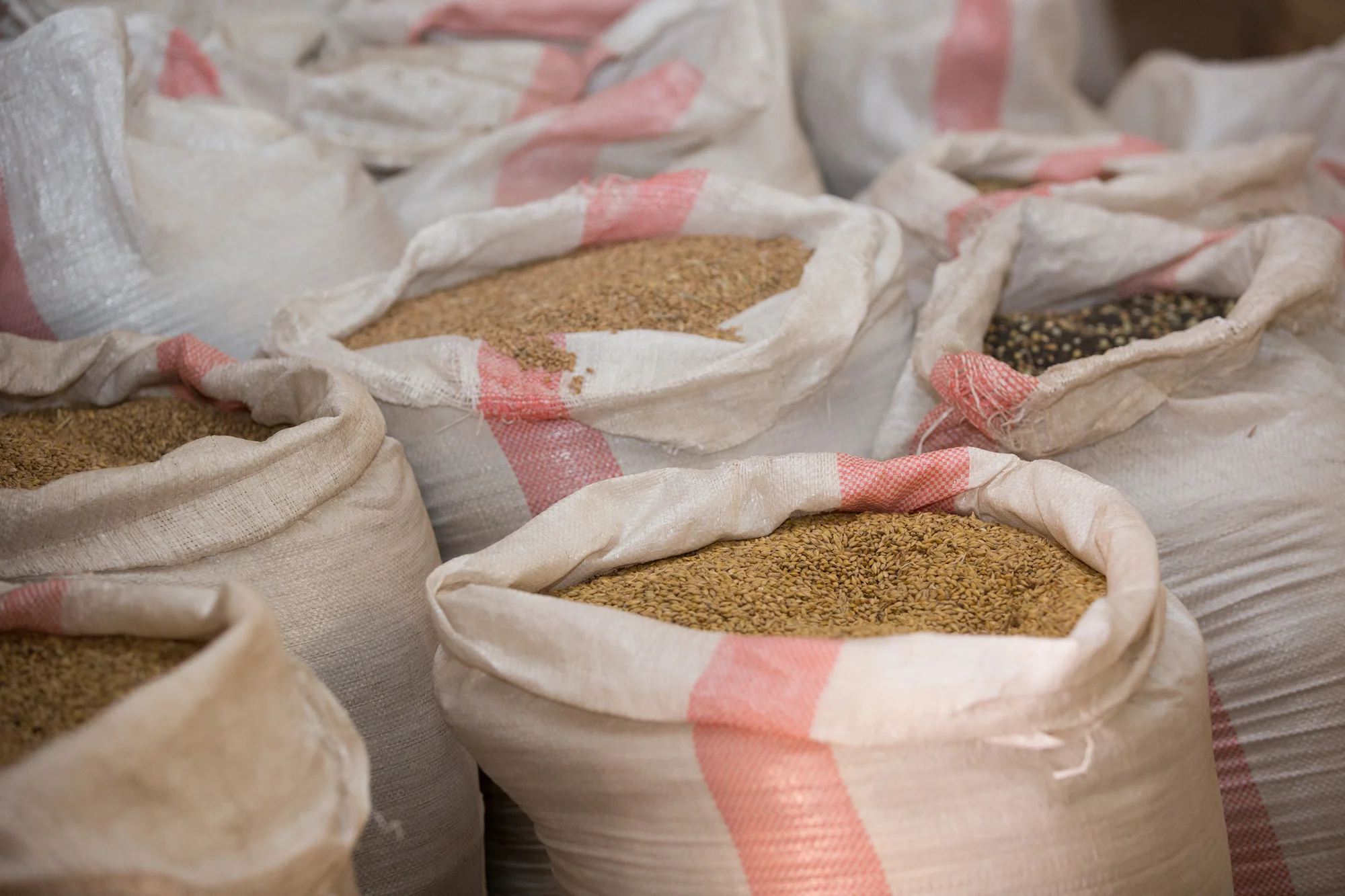 Arable — Kisima Farm Limited