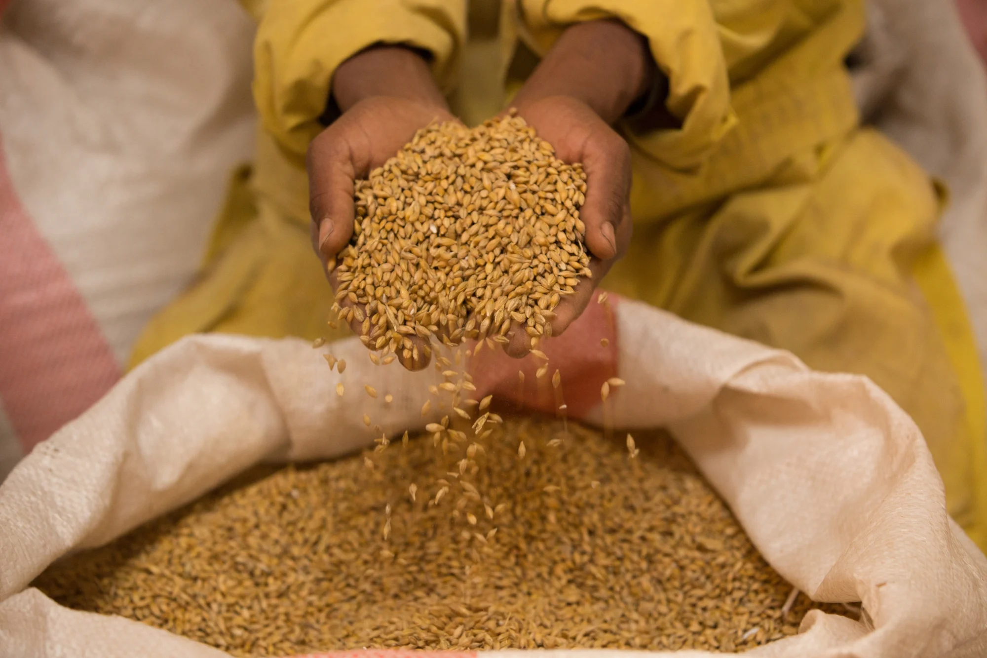 Arable — Kisima Farm Limited