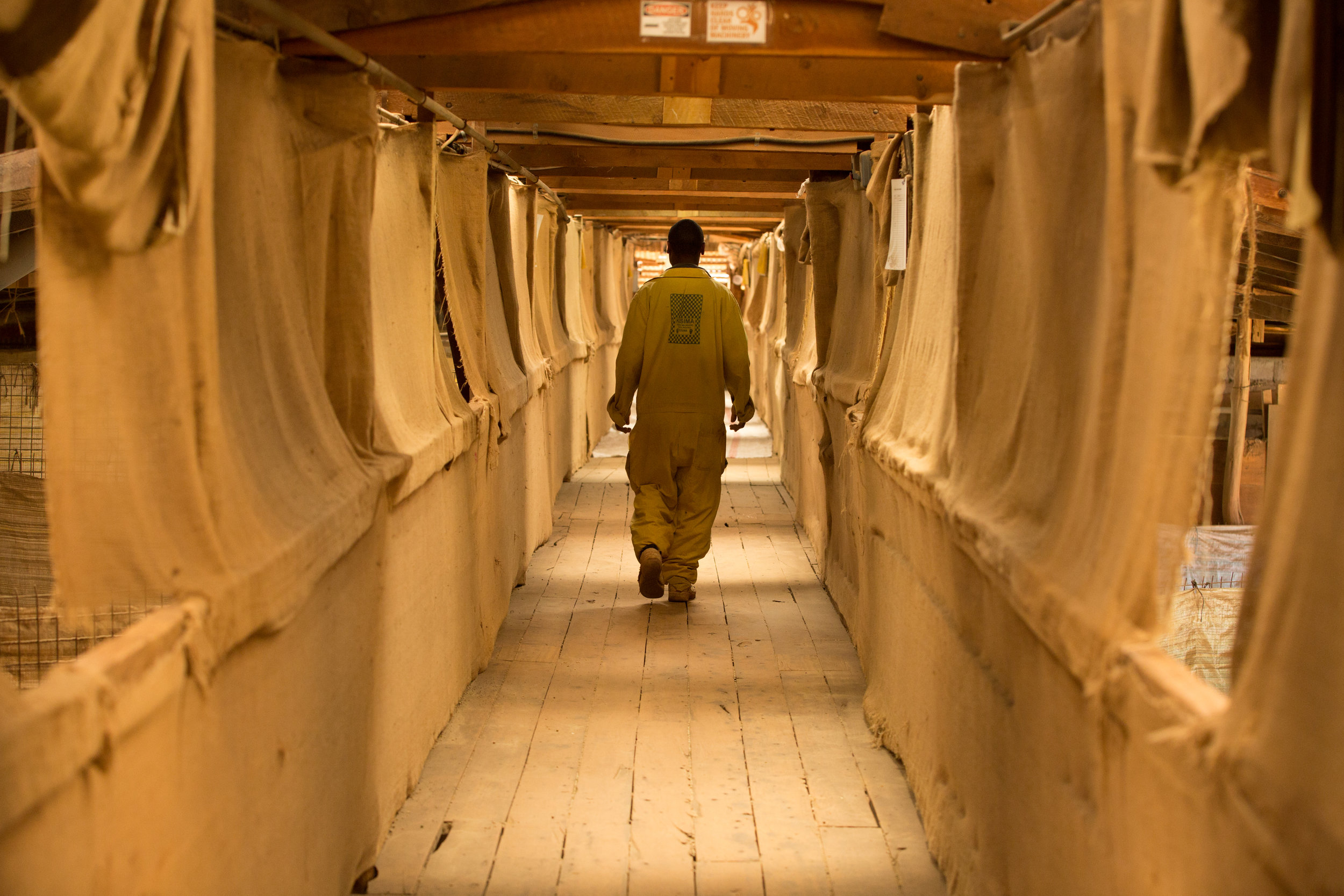 Arable — Kisima Farm Limited