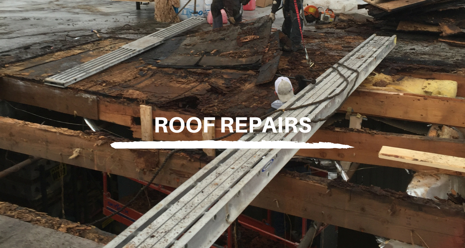 Premier Roofing Co. — Roof Repairs | Anchorage, Alaska