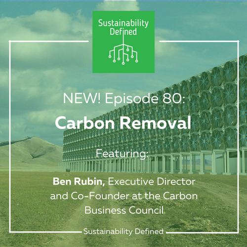 #80: Ep 80: Carbon Removal with Ben Rubin (Carbon Business Council ...