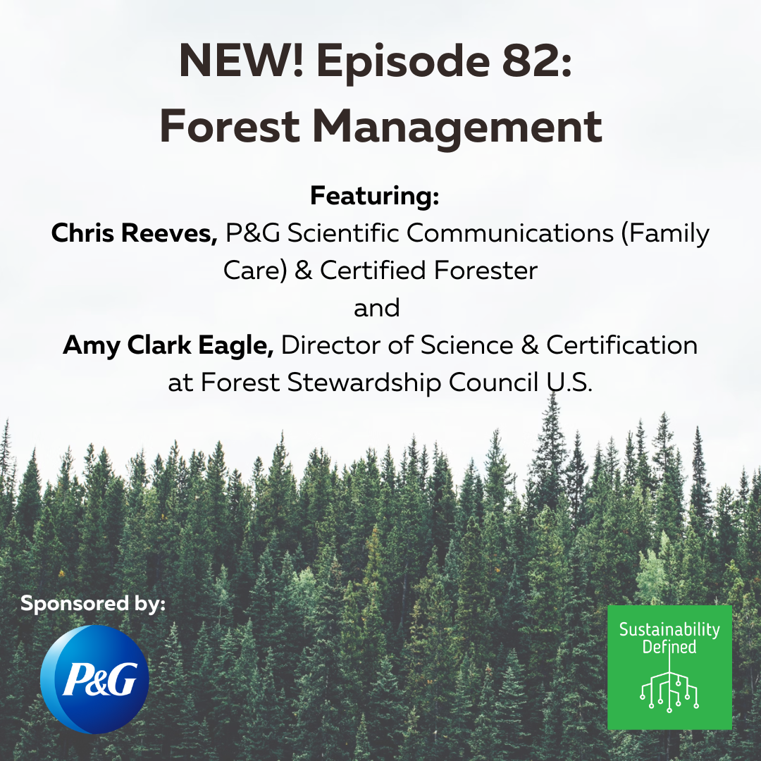 Ep 82: Forest Management | Sustainability Defined