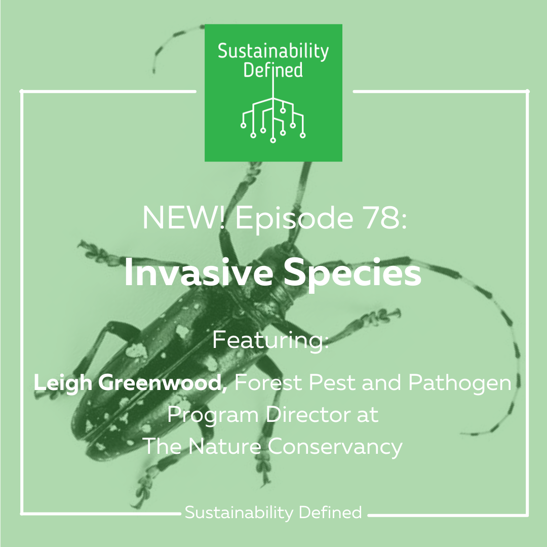 #78: Invasive Species | Sustainability Defined