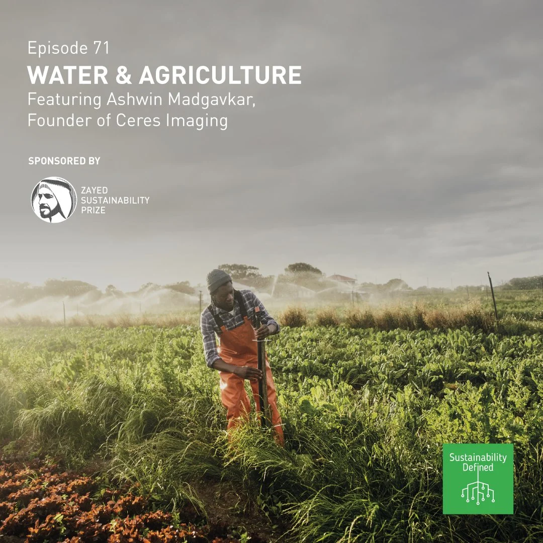 Ep 71: Water & Agriculture | Sustainability Defined