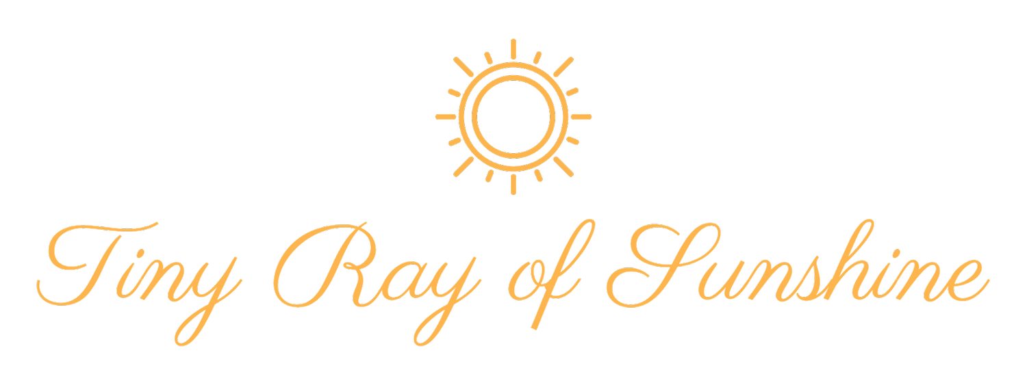 Thorough Guide to the Bullet Journal System — Tiny Ray of Sunshine