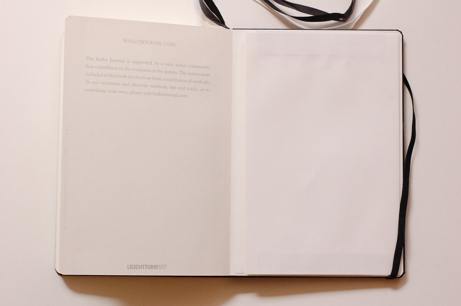 Epic Official Bullet Journal Notebook Review & Giveaway! — Tiny Ray of ...