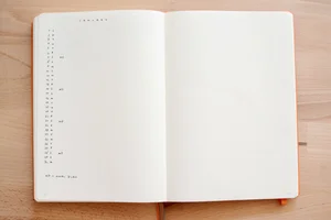 How to Manage Recurring Tasks in the Bullet Journal — Tiny Ray of Sunshine