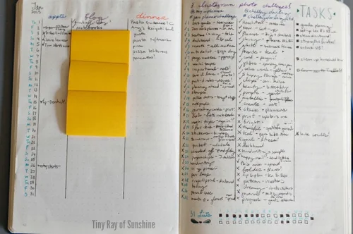 Layout Idea: Monthly & Daily — Tiny Ray of Sunshine