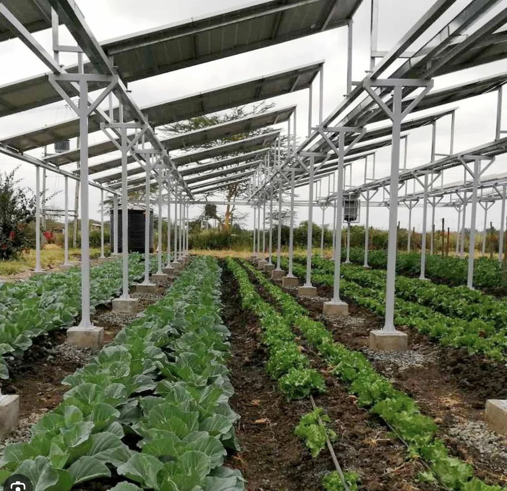 CSS Solar Blackberry Farm — Big East Fork