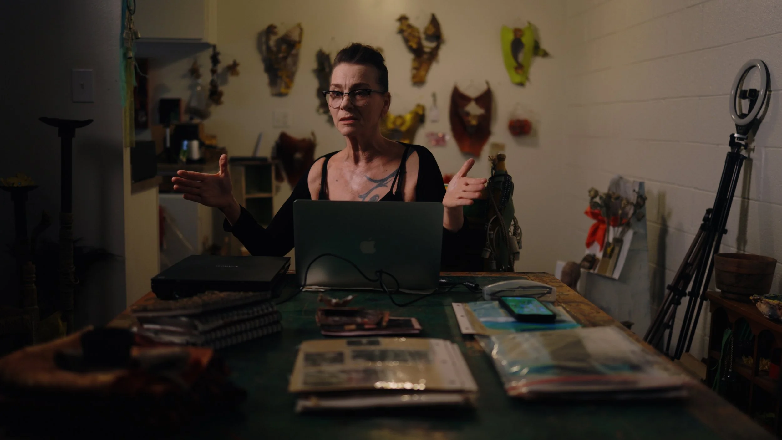 STOP THE INSANITY: FINDING SUSAN POWTER is a vague and hectic look at ...