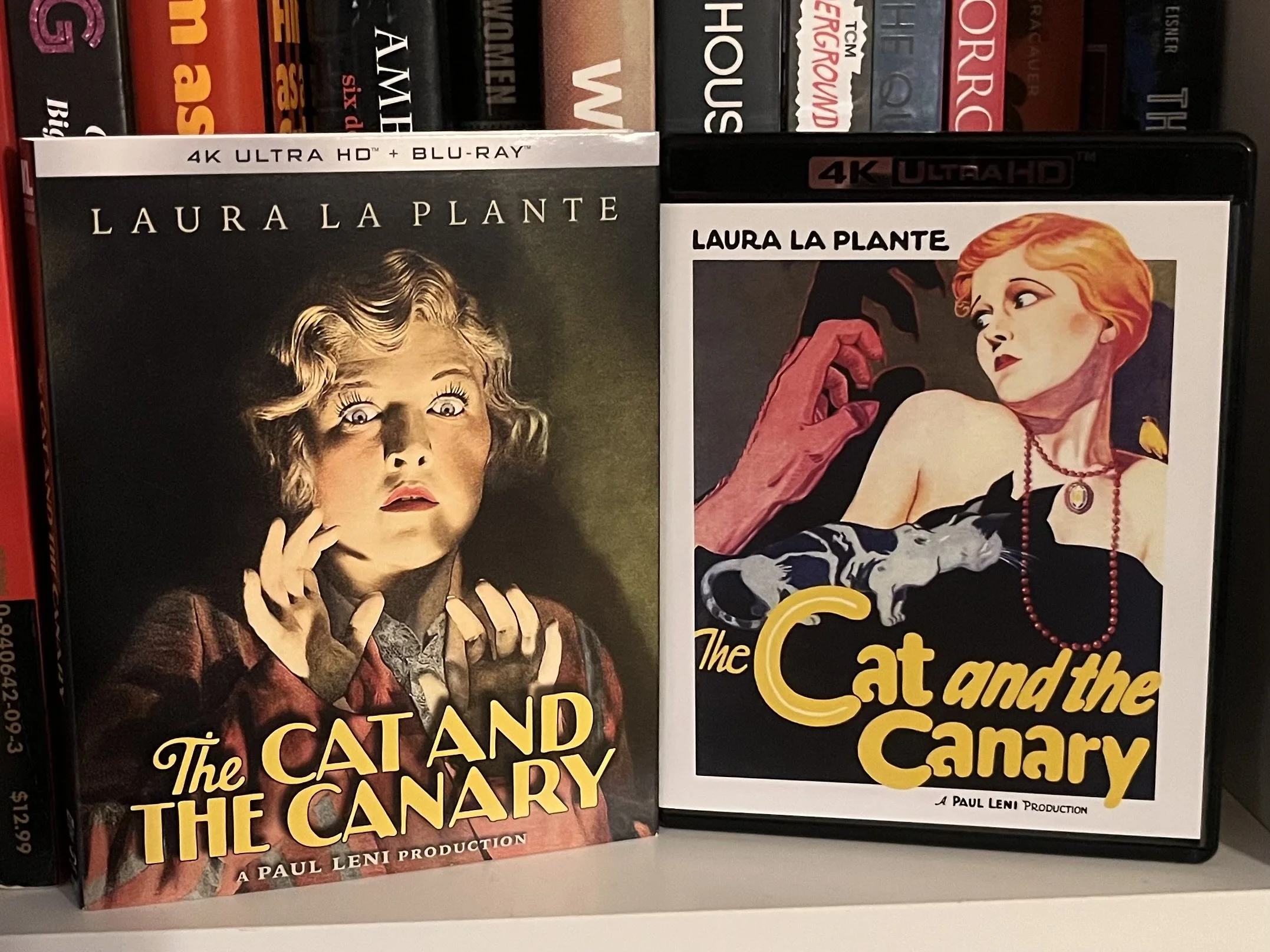 Disc Dispatch: THE CAT AND THE CANARY from Kino Lorber — Moviejawn