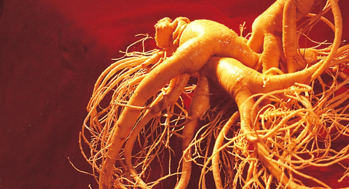 ILHWA Enzyme Fermented Ginseng
