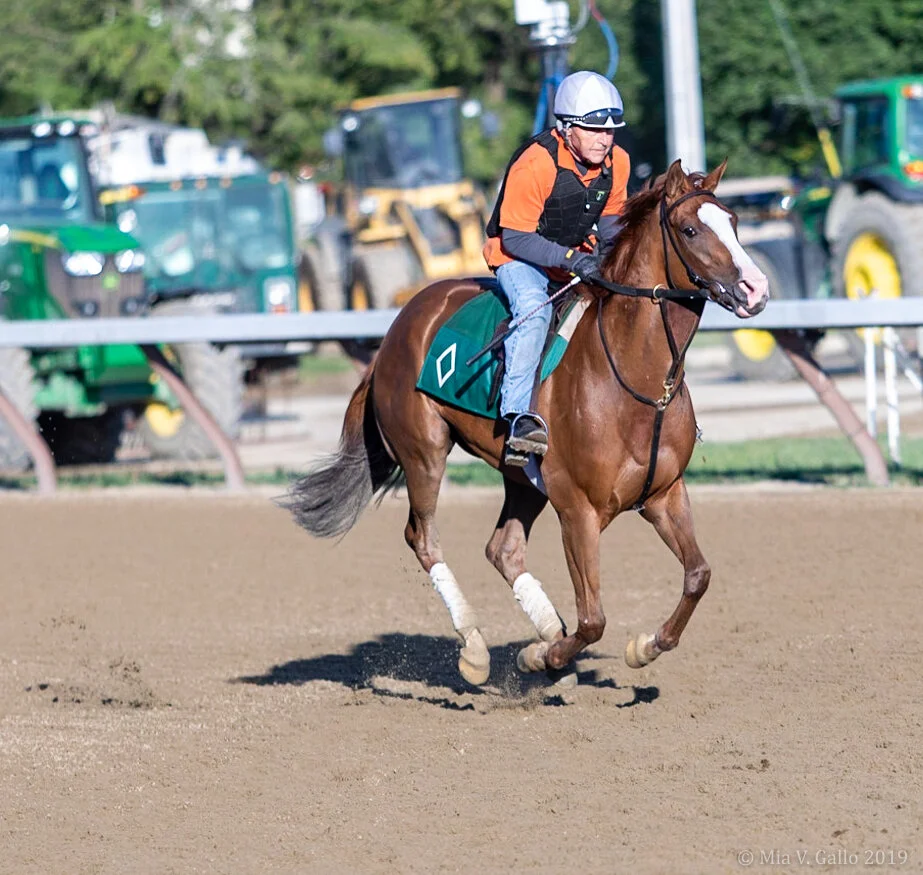 Dream Maker Racing