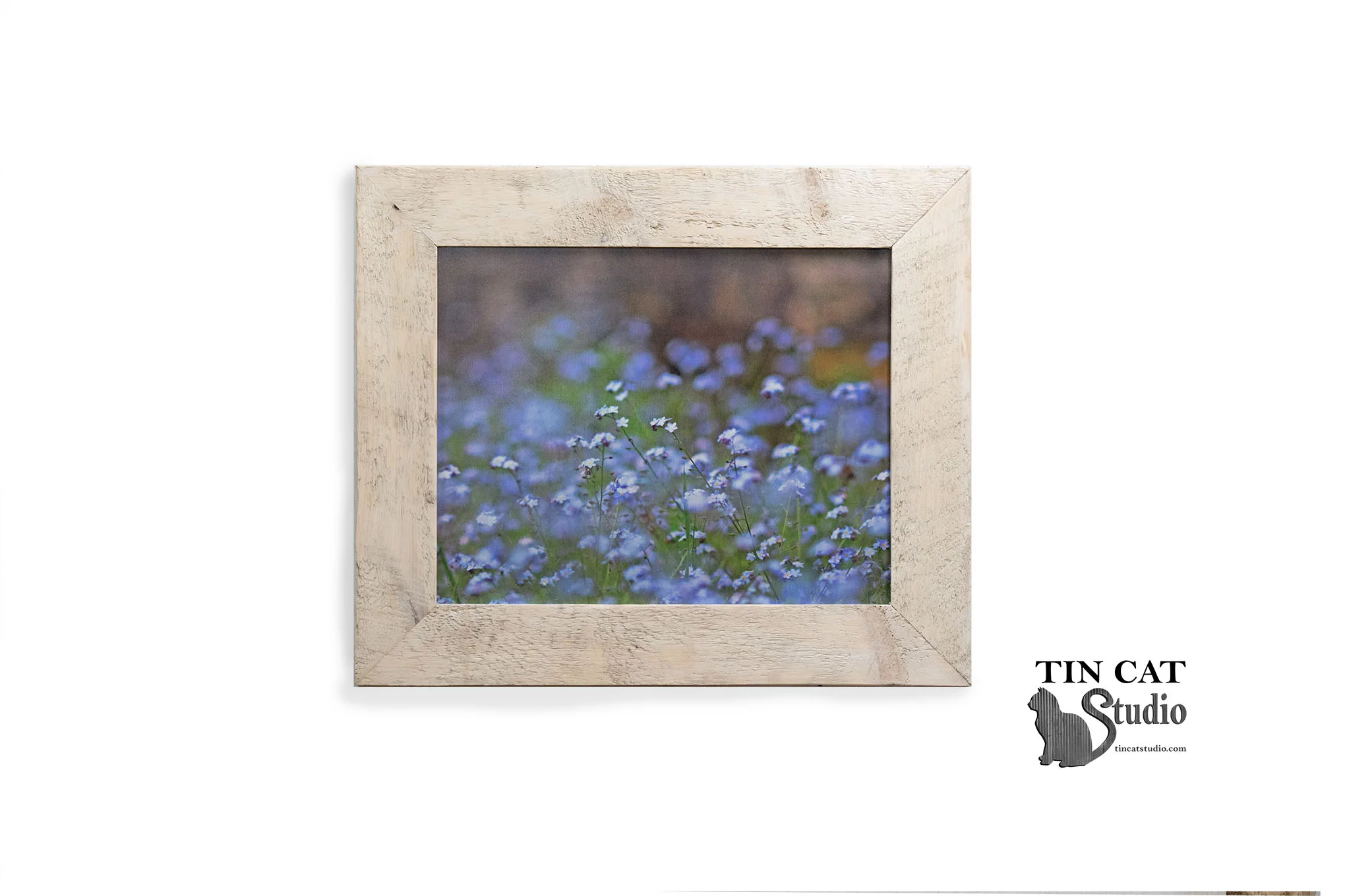 Art For Sale — Tin Cat Studio