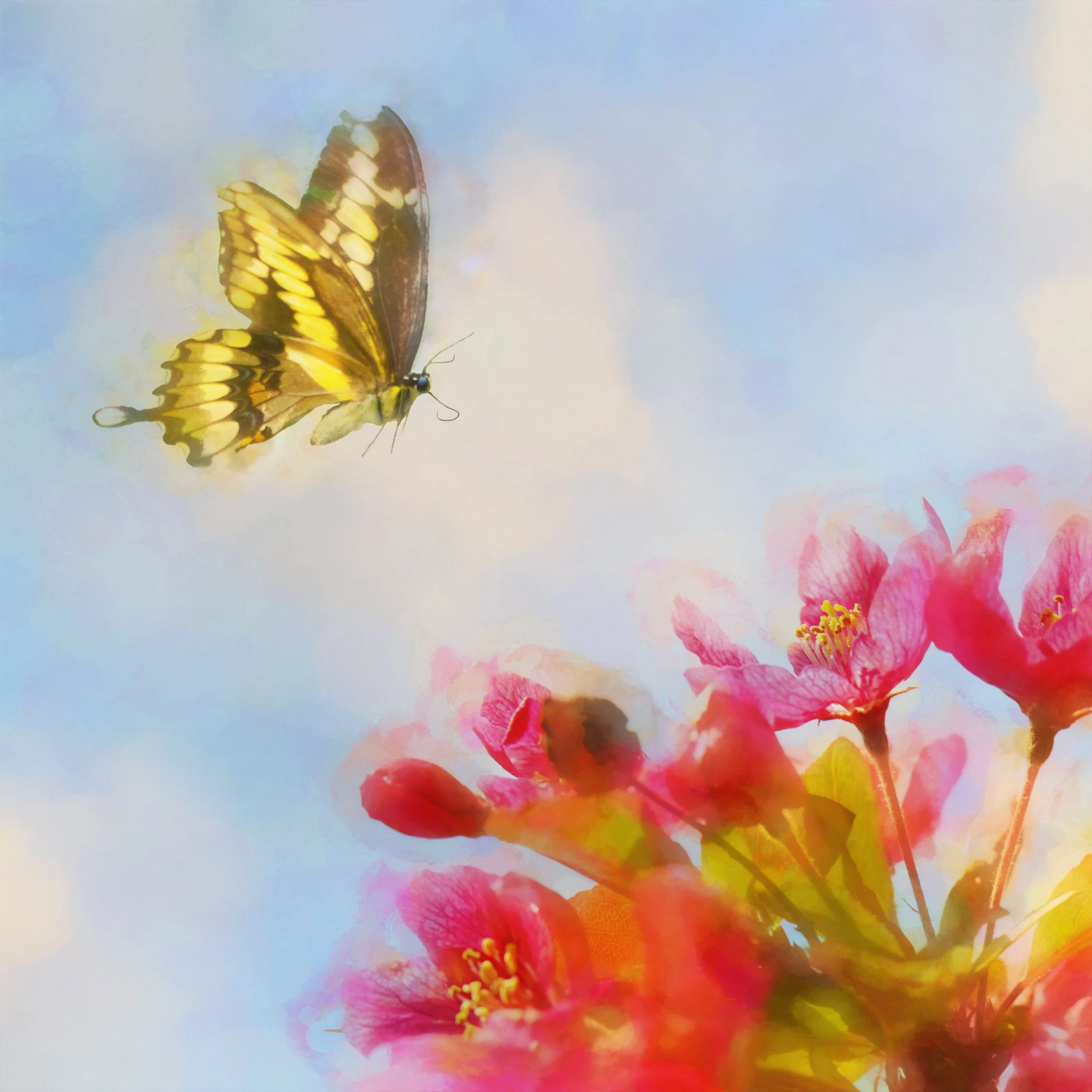 Events-Tin Cat Studio — Tin Cat Studio