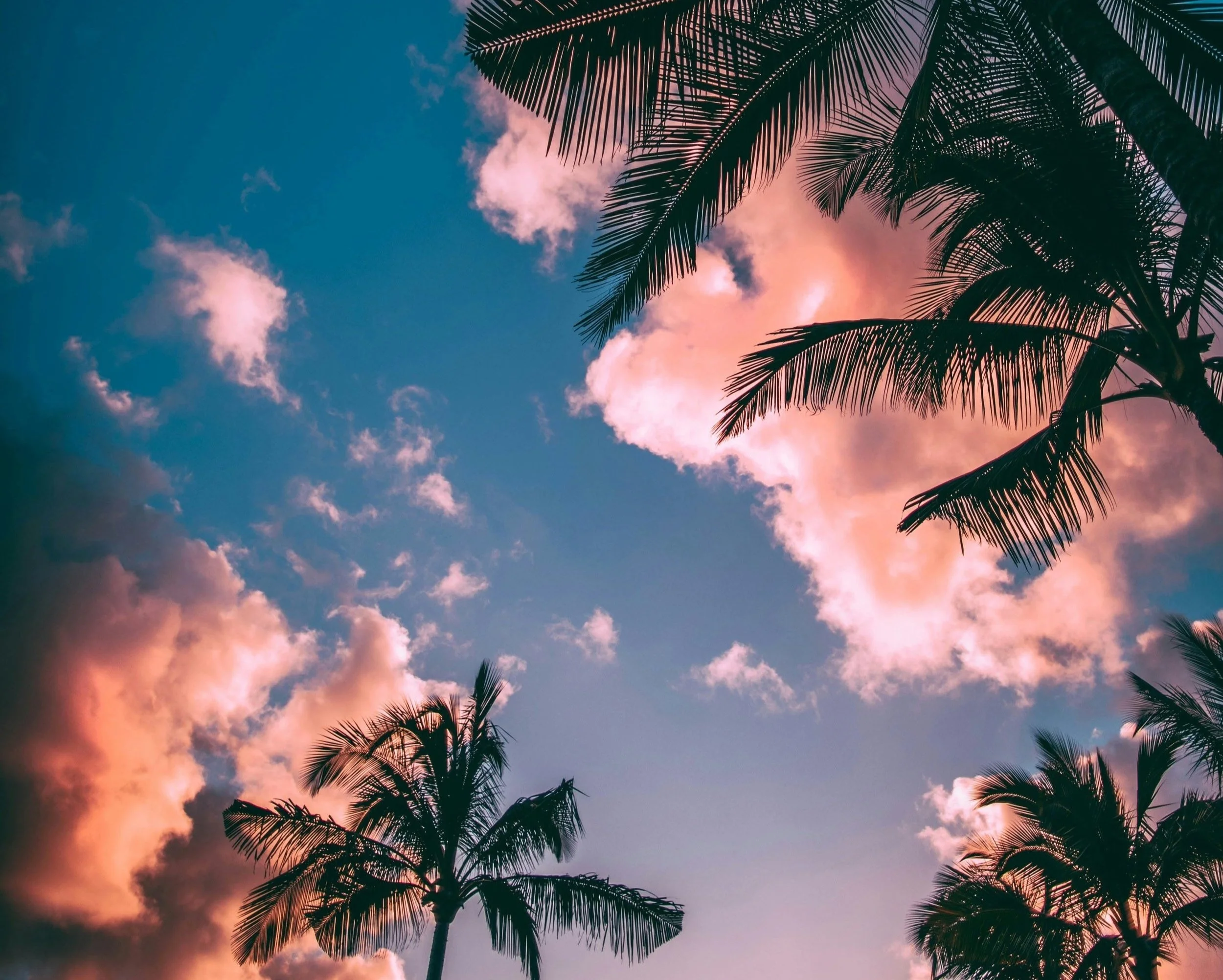 Step into Summer in Style at Butter Beauty Parlour — Butter Beauty Parlour