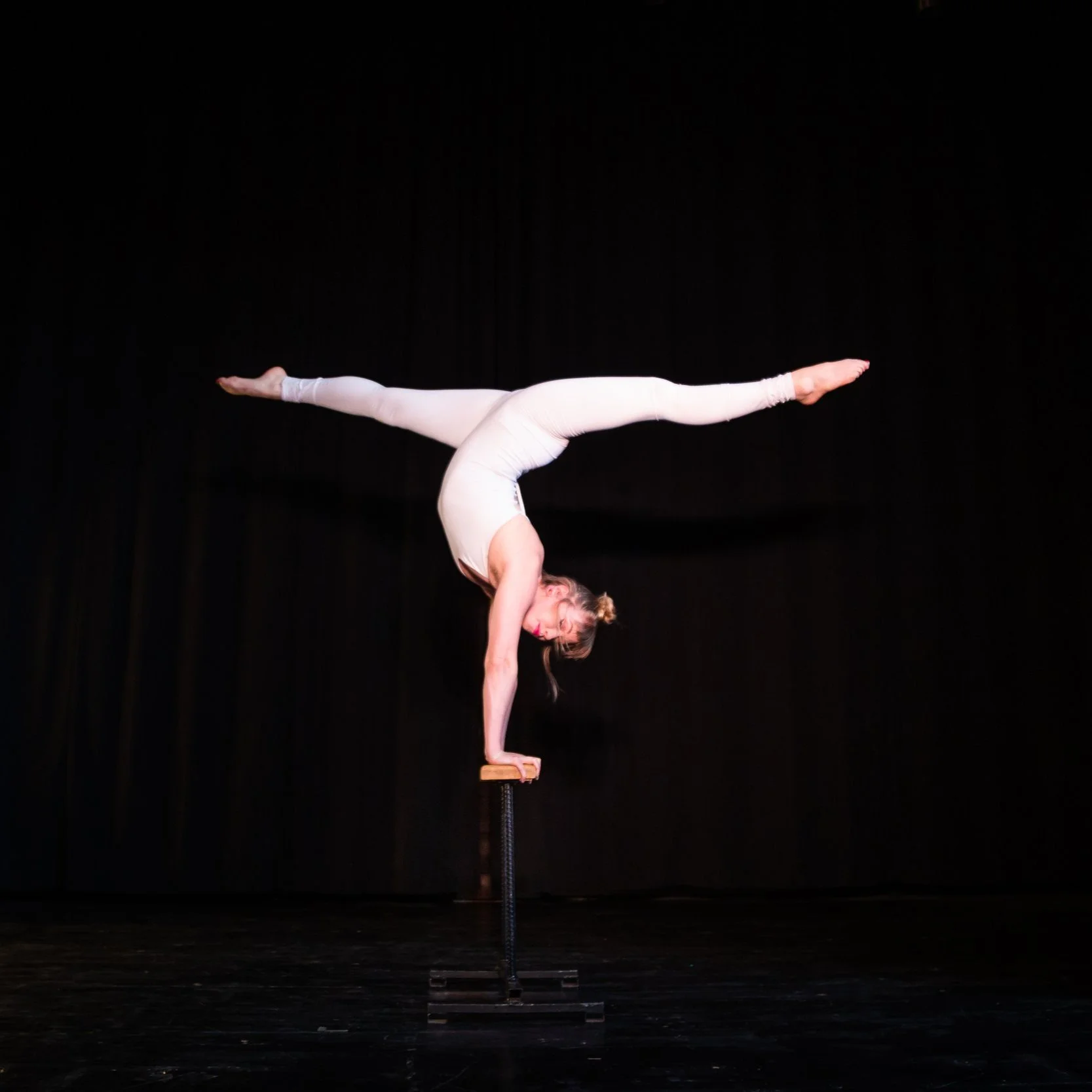 Acts for Hire — Halifax Circus