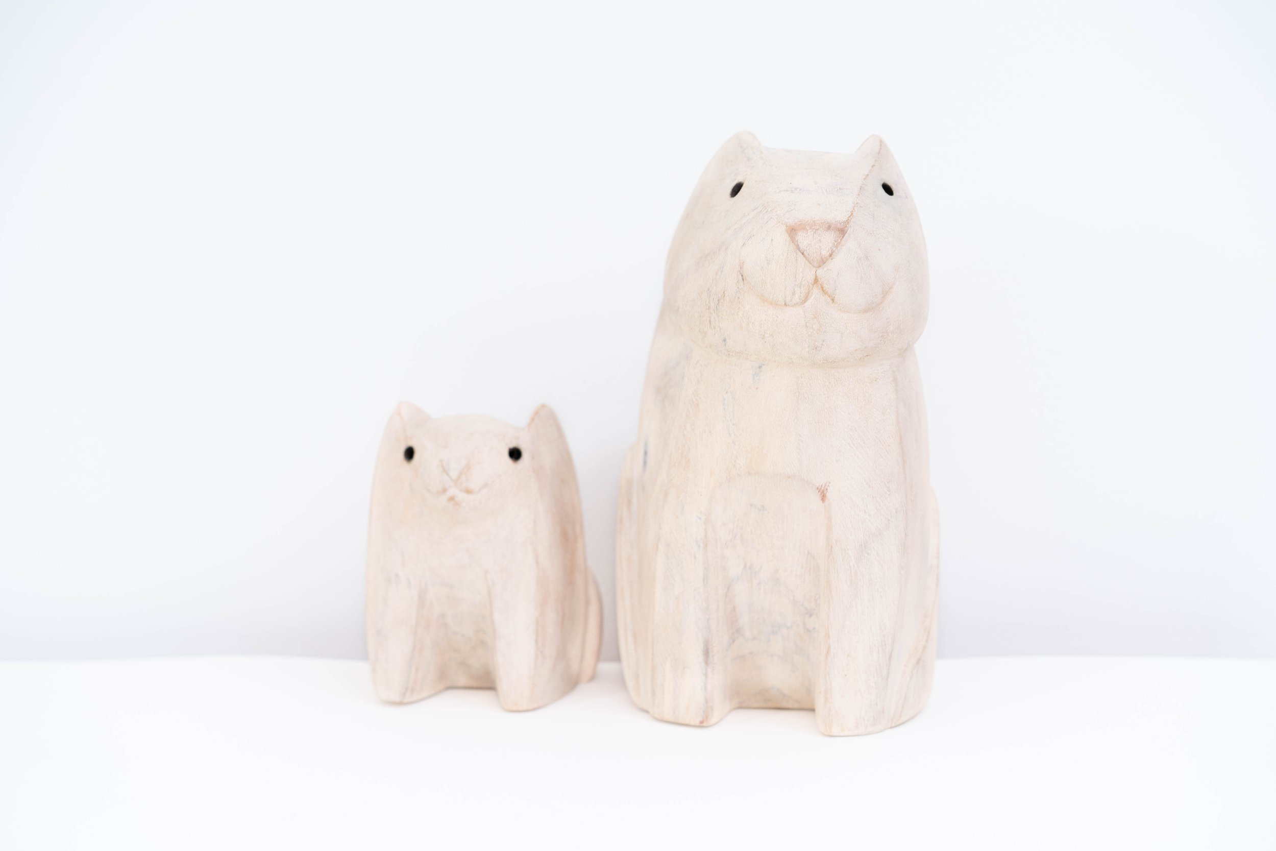Exhibition page_ Raya Bodnarchuk: A Family — gallery neptune & brown