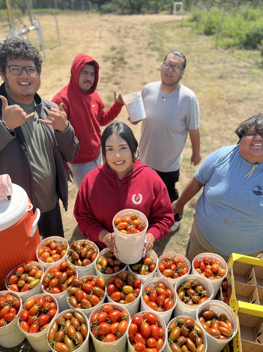 Our Programs — Food What?!