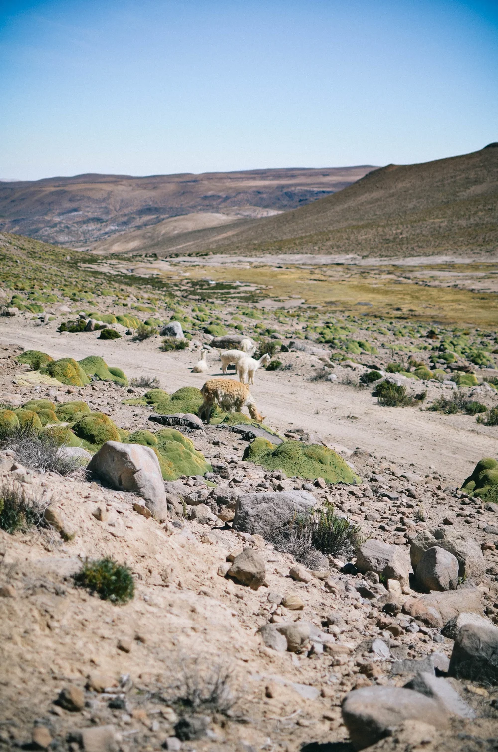 Nos Vemos En Cusco! — HOLIDAY AT SEE