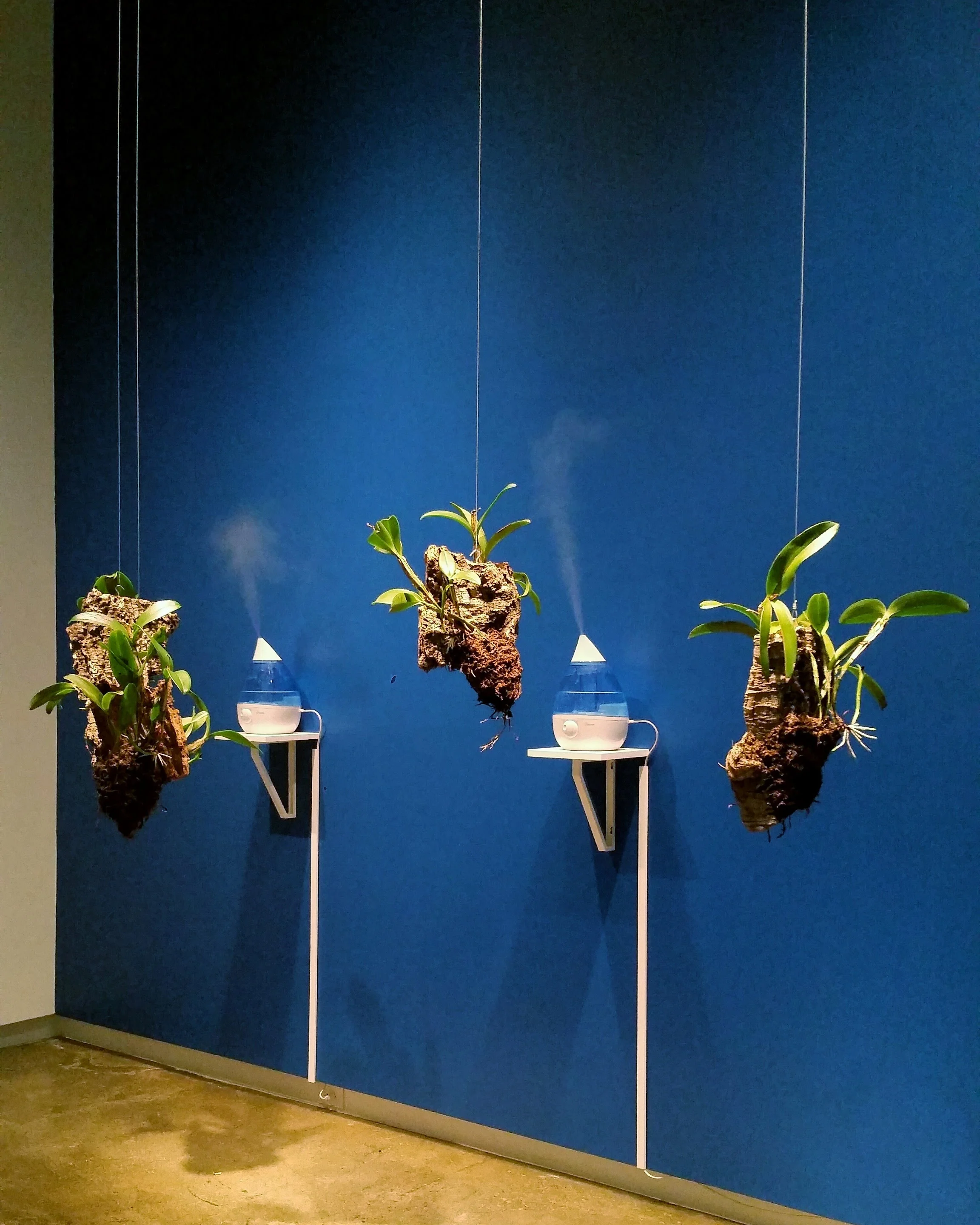 Akin & Xpace Summer Gallery Crawl Photos — Akin Collective