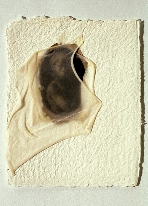 Ming Smith, June Clark and Suzy Lake in Conversation - today at 7pm at ...