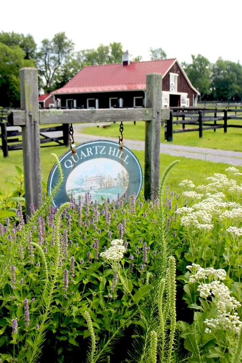 Magee DesignMagee Design