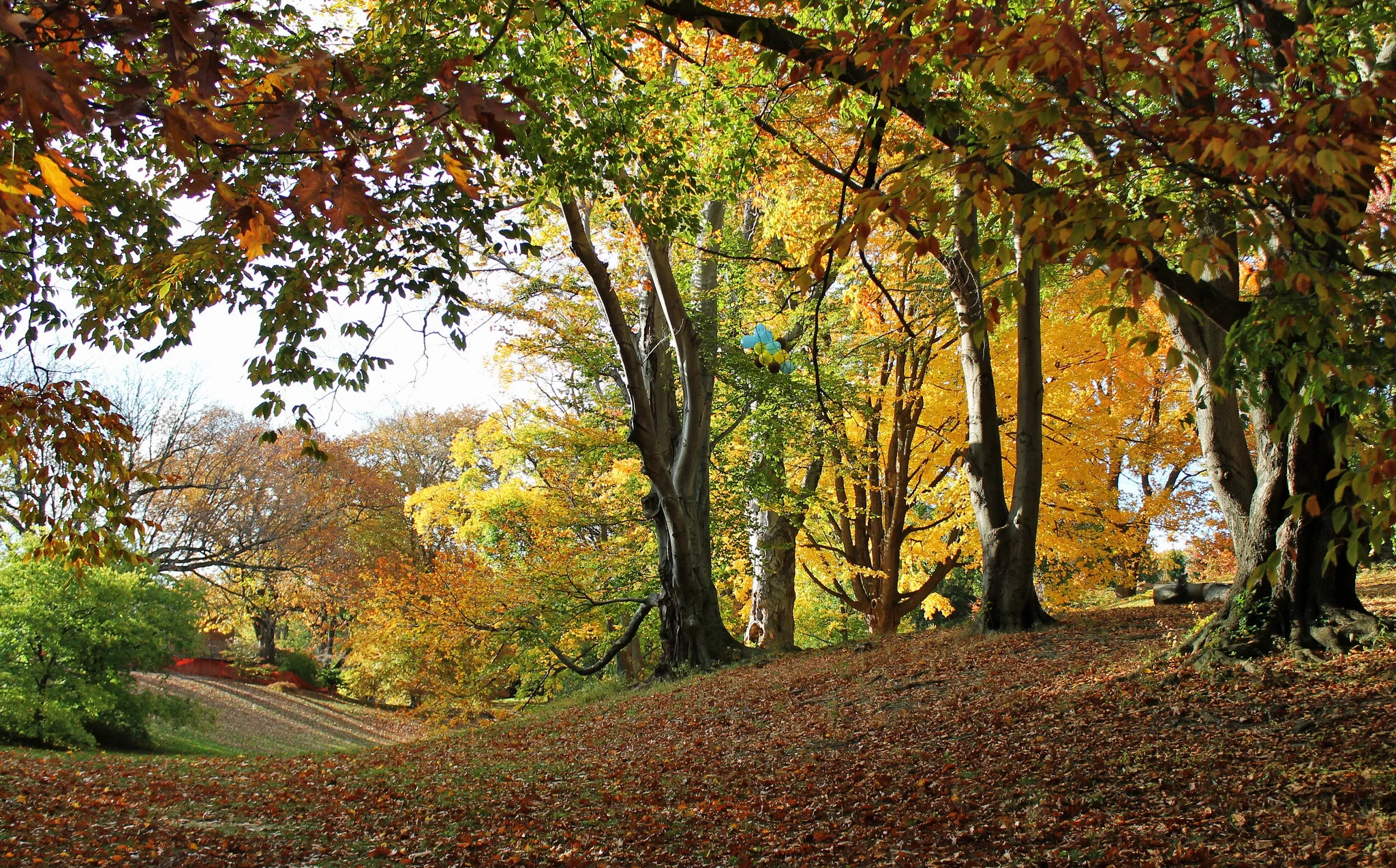 Highland Park Conservancy