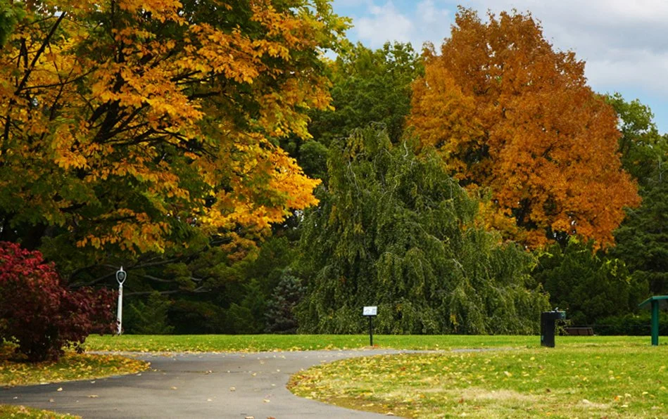 Events — Highland Park Conservancy