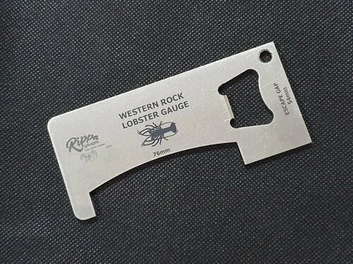 Home — Rippa Gauges