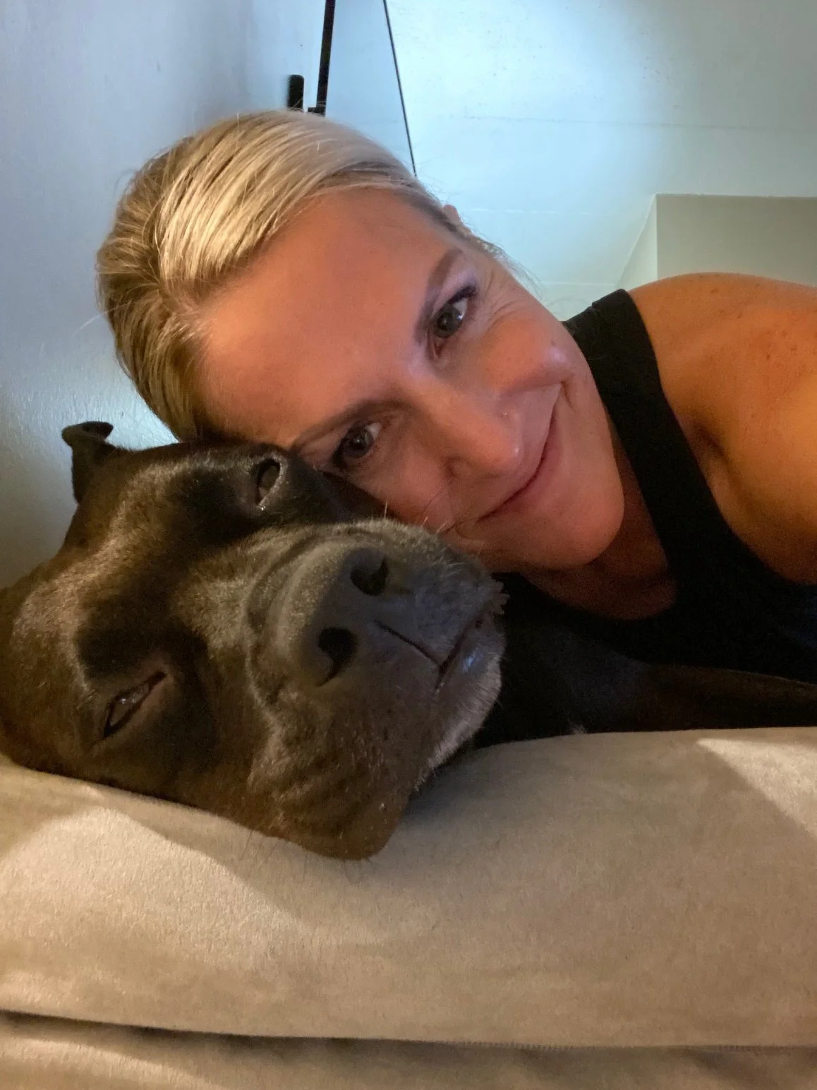 Our Chapters: Northern Virginia — Cake4Kids