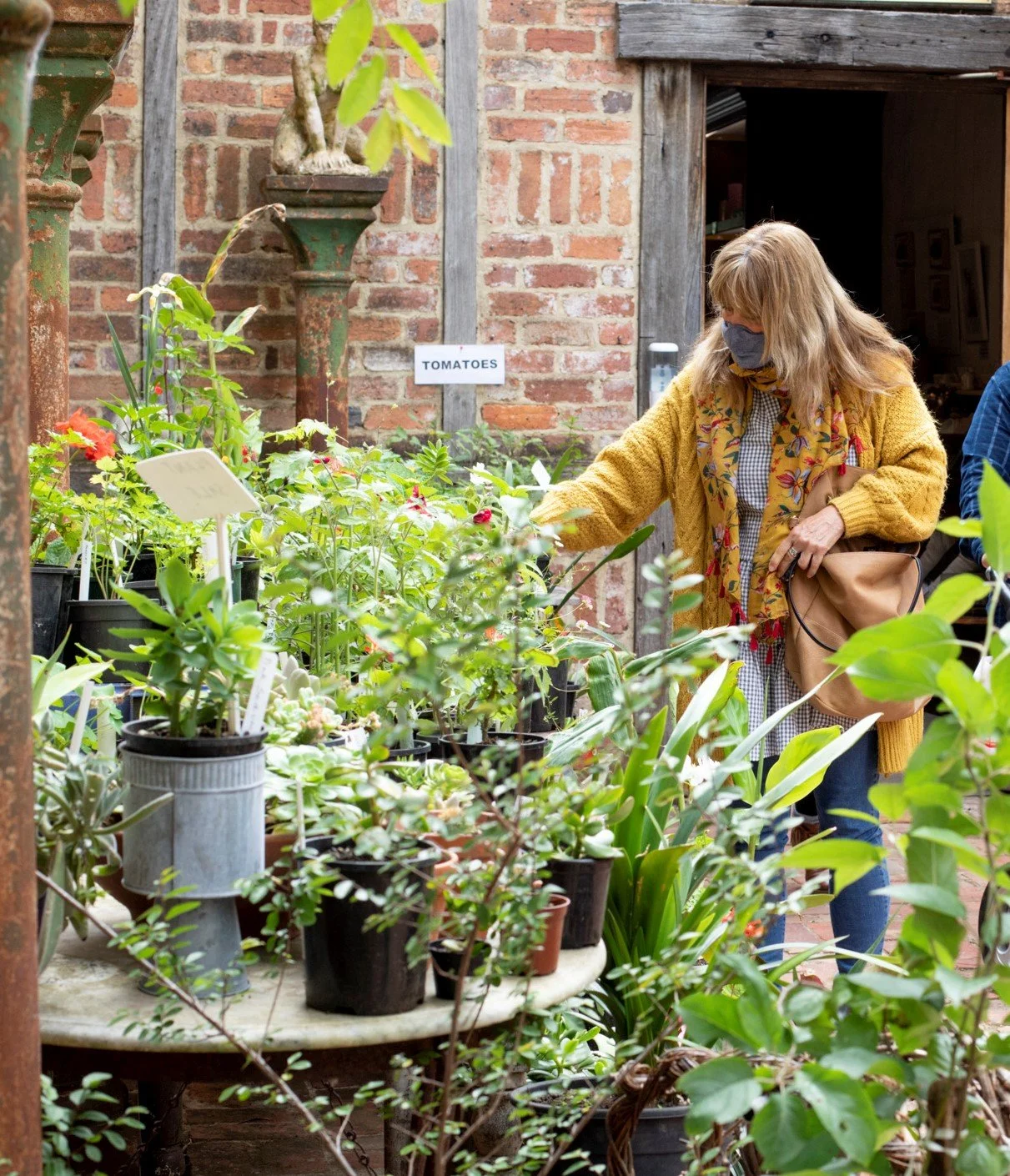 Montsalvat Arts Festival 2022 (Copy) — Montsalvat