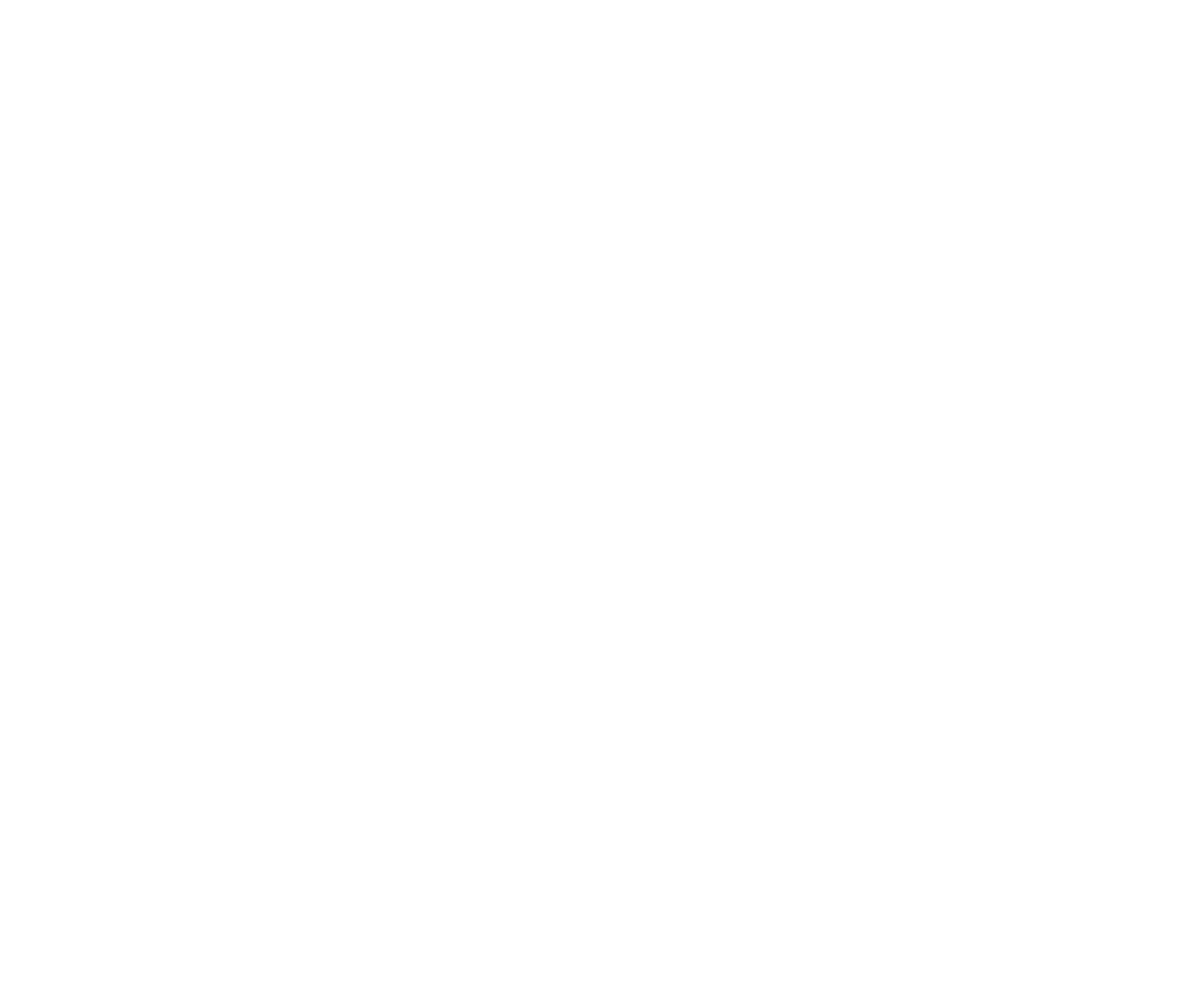 The Coin — Siqi Song ｜ 宋思琪