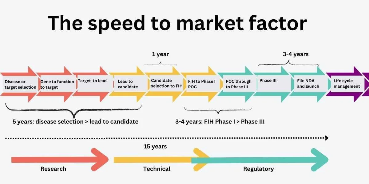 Lab to launch: marketing milestones in drug development — www ...