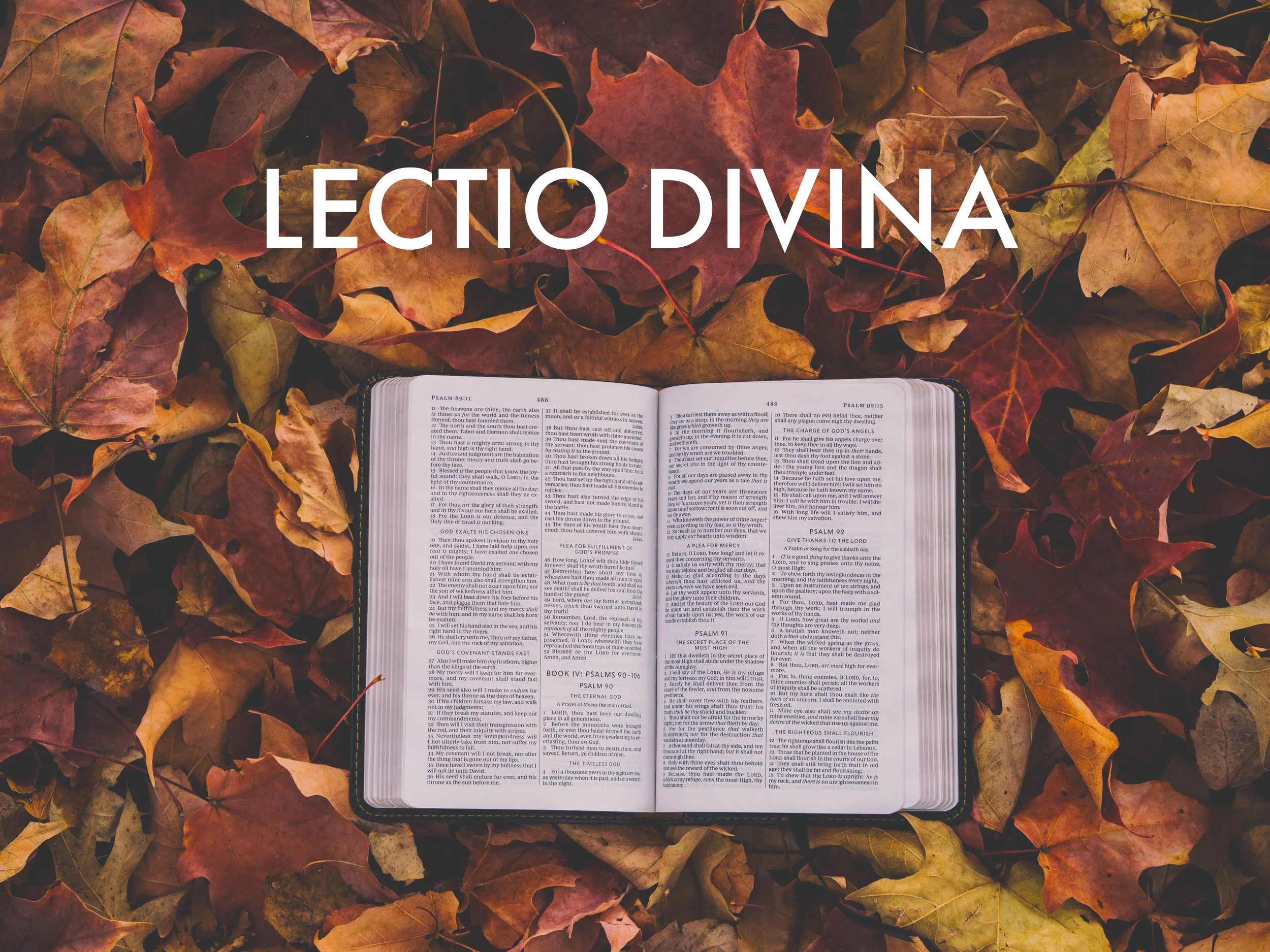 lectio-divina-definition-christianity-hot-sale-smarys