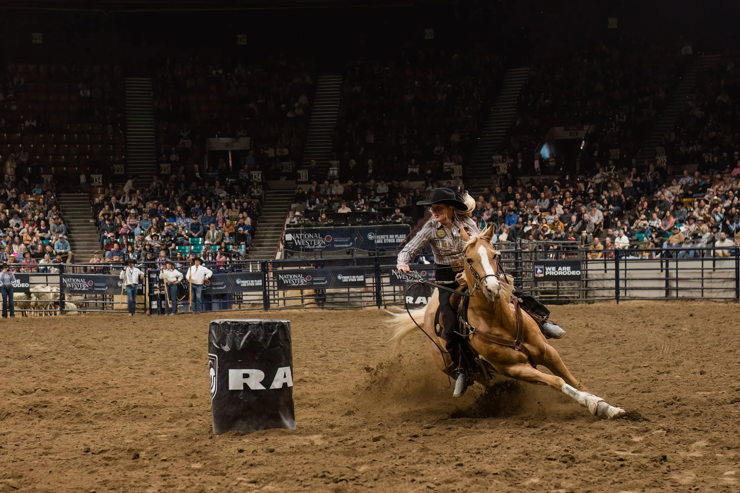 EVENTS — Nikki A. Rae Photography